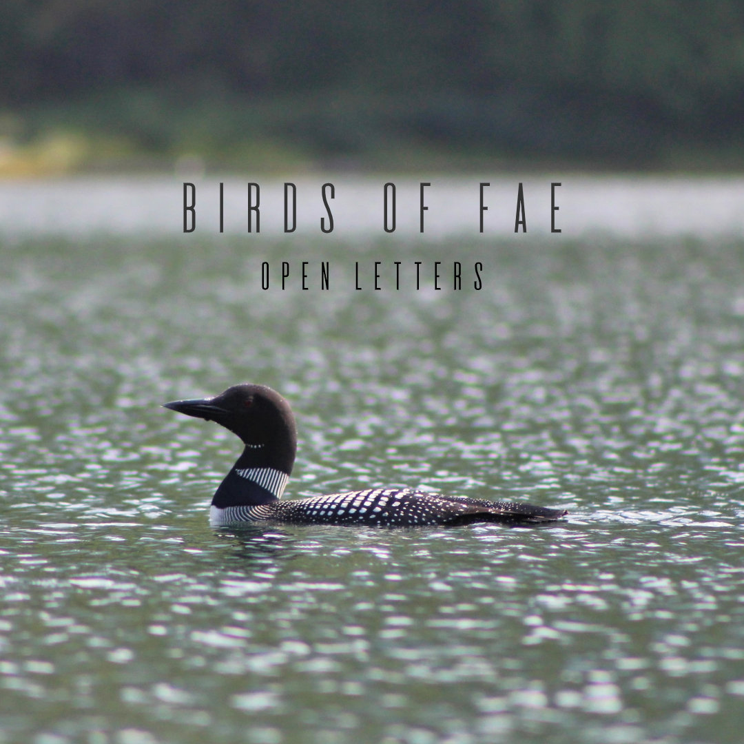 Open Letters | Birds of Fae