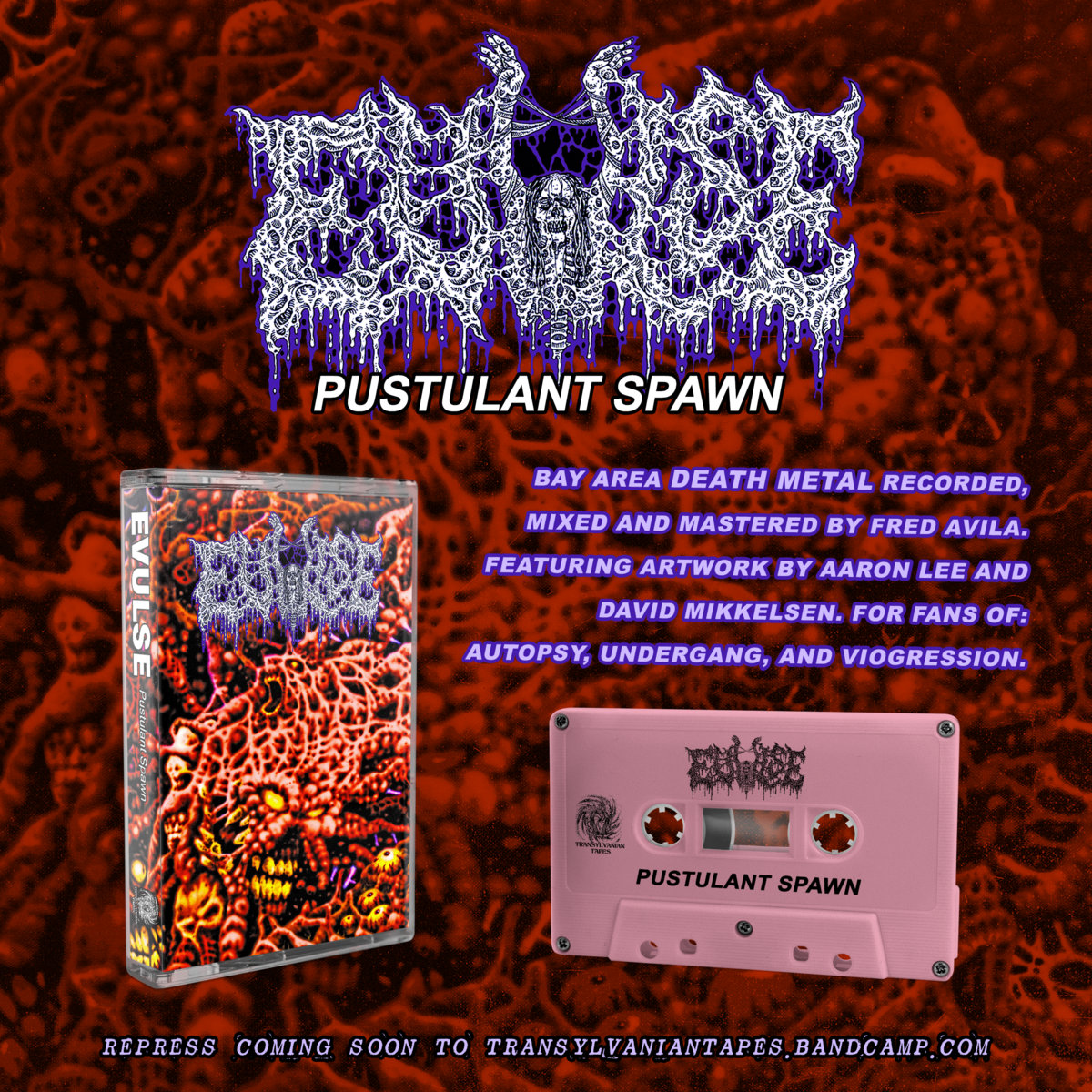 EVULSE - PUSTULANT SPAWN | EVULSE | Transylvanian Recordings