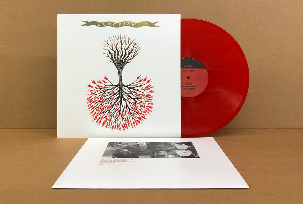 A Guide to Lungfish, Dischord Records’ Most Idiosyncratic Band ...