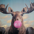 Debt of Aeons | King Goat