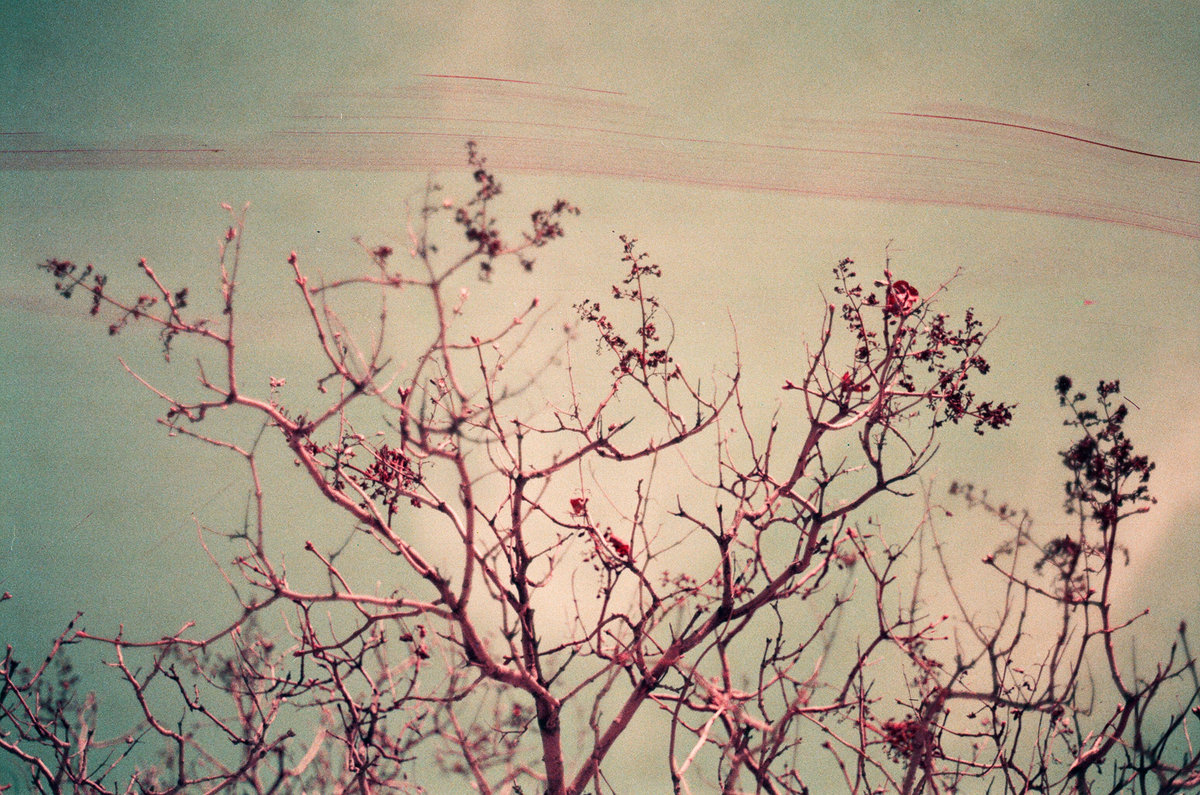 Print 02 | Matthew Cardinal