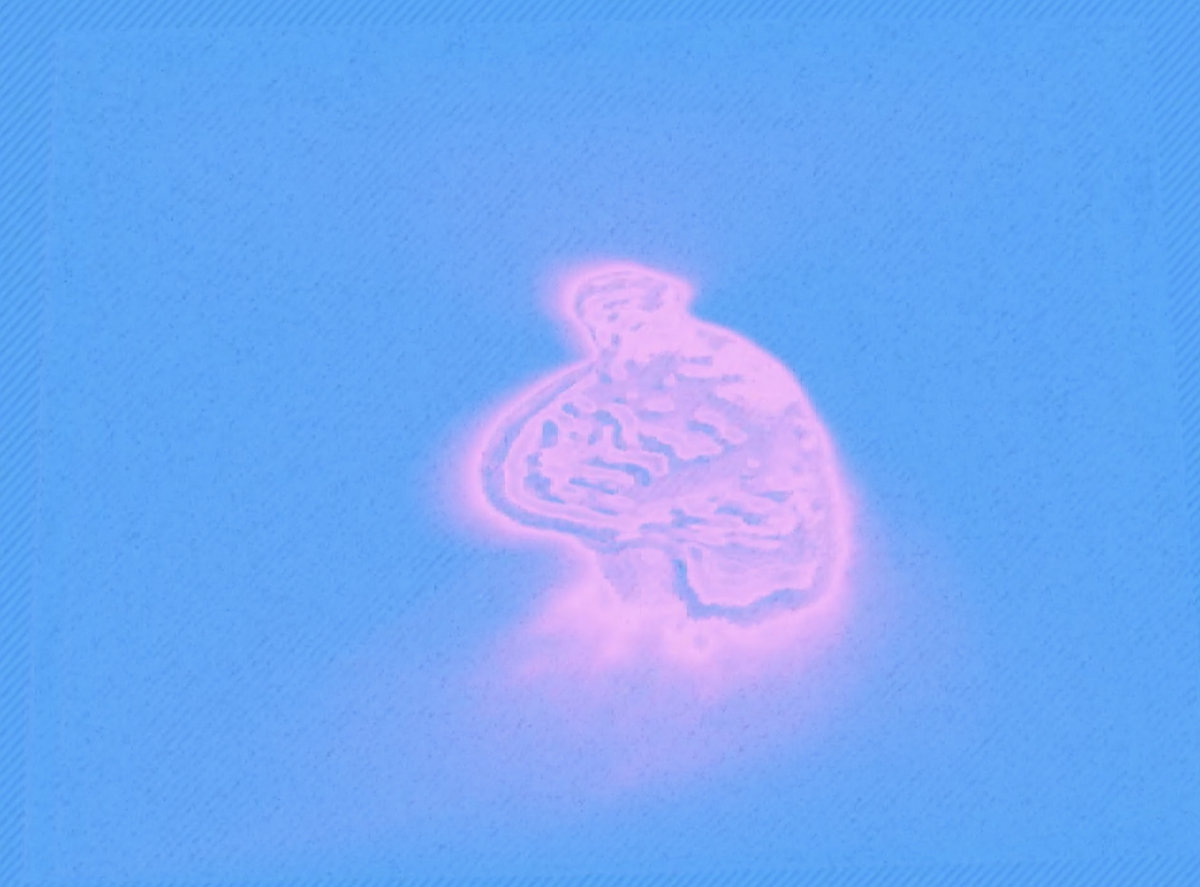 Music for Growing Plants | Christopher Stracey