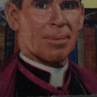 Music For Cats | cEvin Key