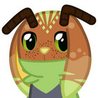 The New 4lung Album | 4lung | RAWRDCORE RECORDS