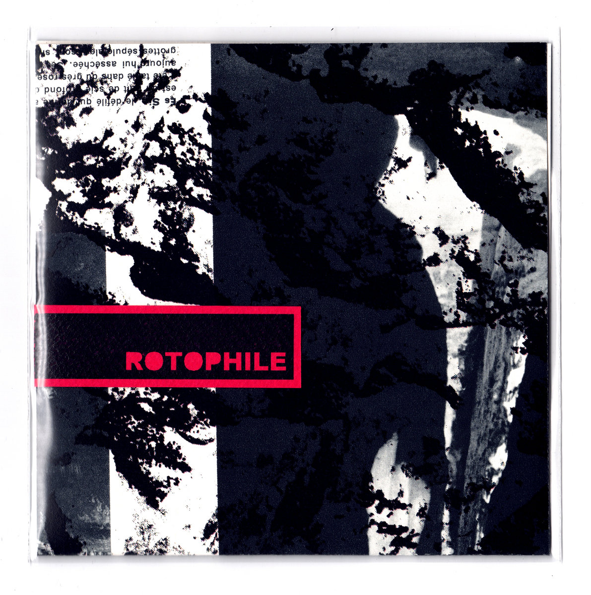 L'effondrement des glaces de pierres | Nadia Lena | Fougère Musique