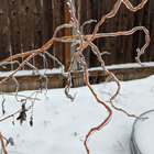 memory palace | Intervals