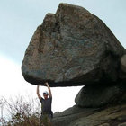 The Tree of Forgiveness | John Prine