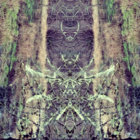 Implosion | The Bug vs Ghost Dubs