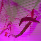 13 Angels Standing Guard 'Round The Side Of Your Bed | A Silver Mt ...