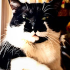 The Ghost Of Each Room | cEvin Key