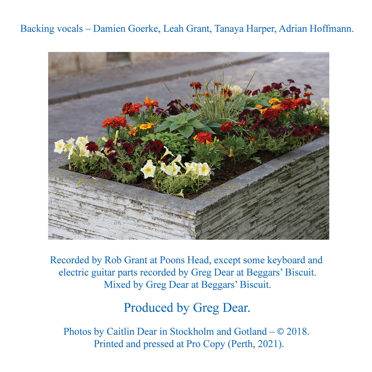 Abolition | Beautiful Losers | Greg Dear