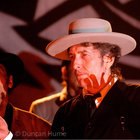 I Believe in You, My Honeydew | Josh Ritter