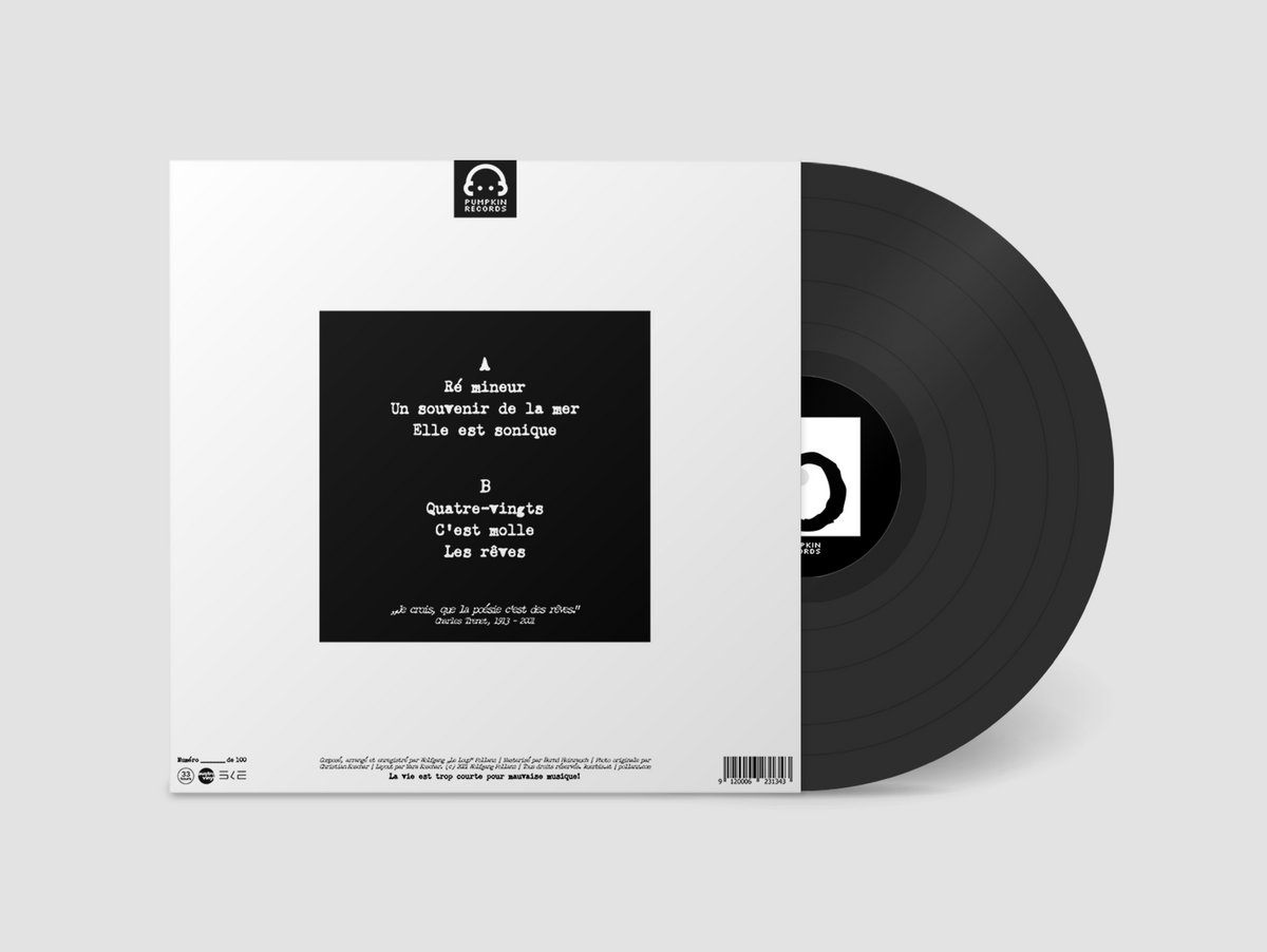 Un Petit Disque Noir | Les Machines Molles