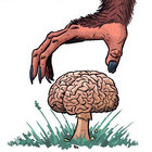 Theory Of Rhyme | Fliptrix