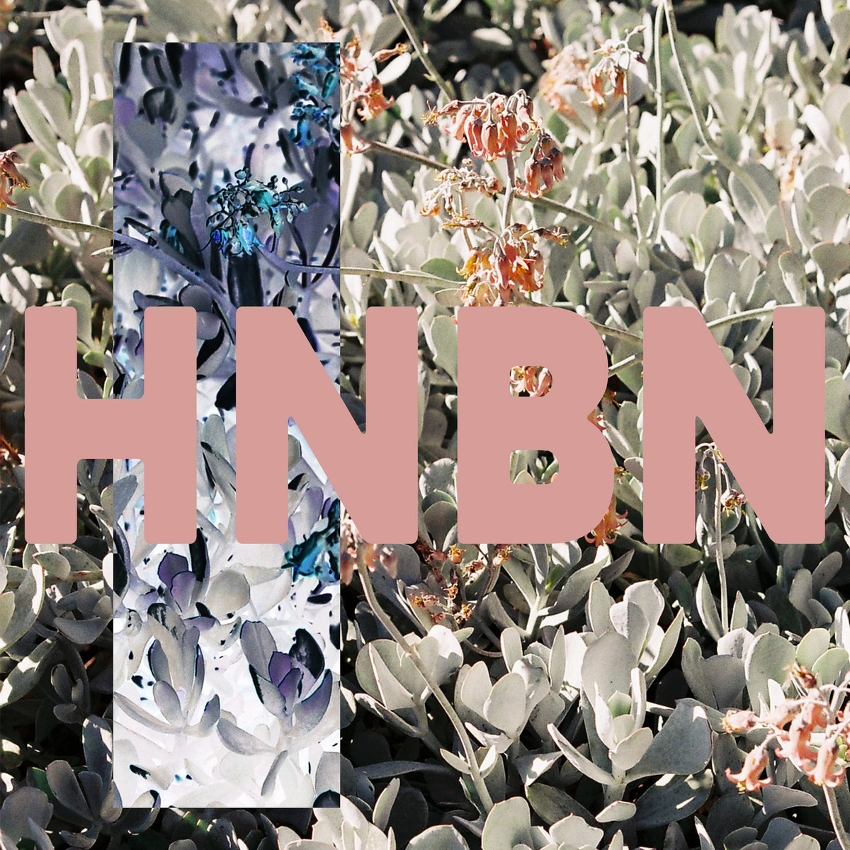 The Floor is Trauma | HNBN