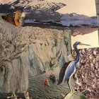 Slitherman Activated | RXK Nephew | Towhead Recordings