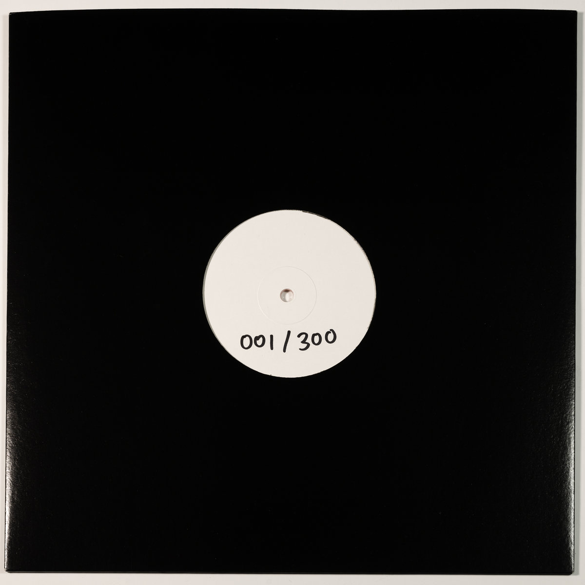 THE GROOVY CAT | PAWSA