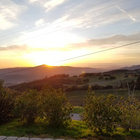 Eternal Reverie | TOKiMONSTA