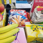 Different Talking | Frankie Cosmos