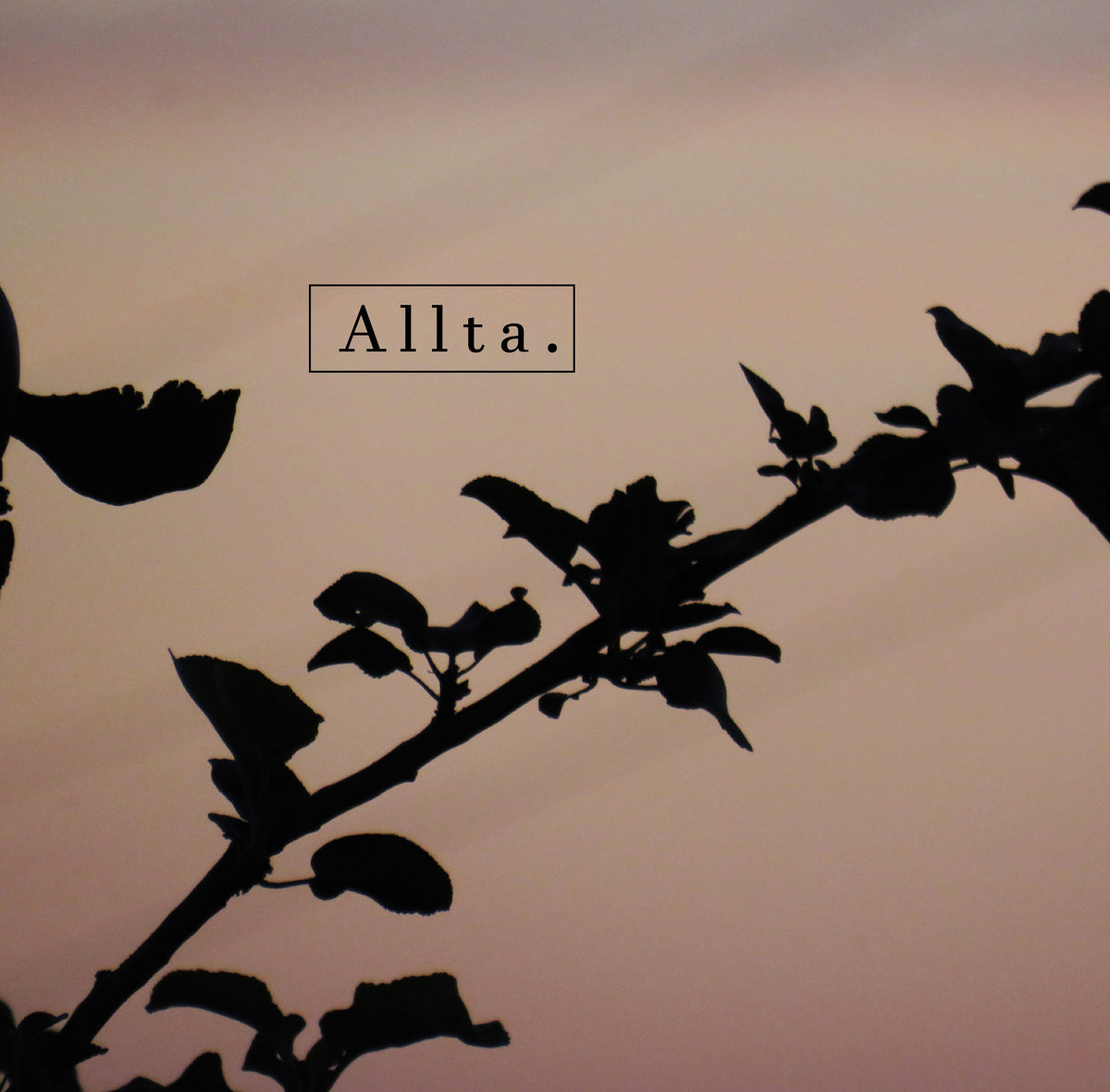 Sound Surrounds | Allta