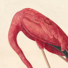 Wild Light | 65daysofstatic | Bird's Robe Records