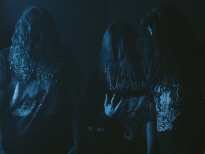 Artists | Maggot Stomp