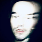 The Toad Alchemy | Tales Under The Oak