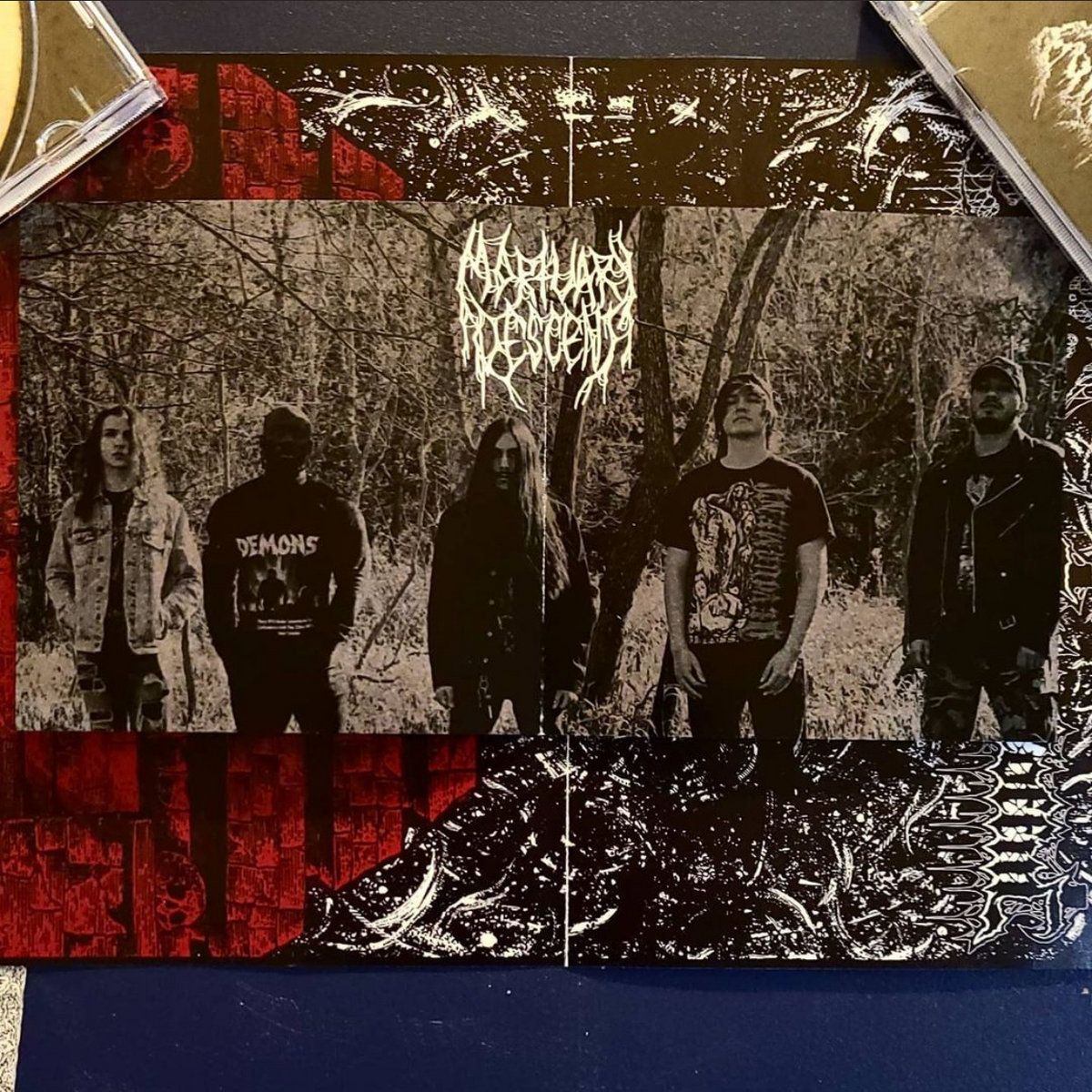 Skeletonization | Mortuary Descent