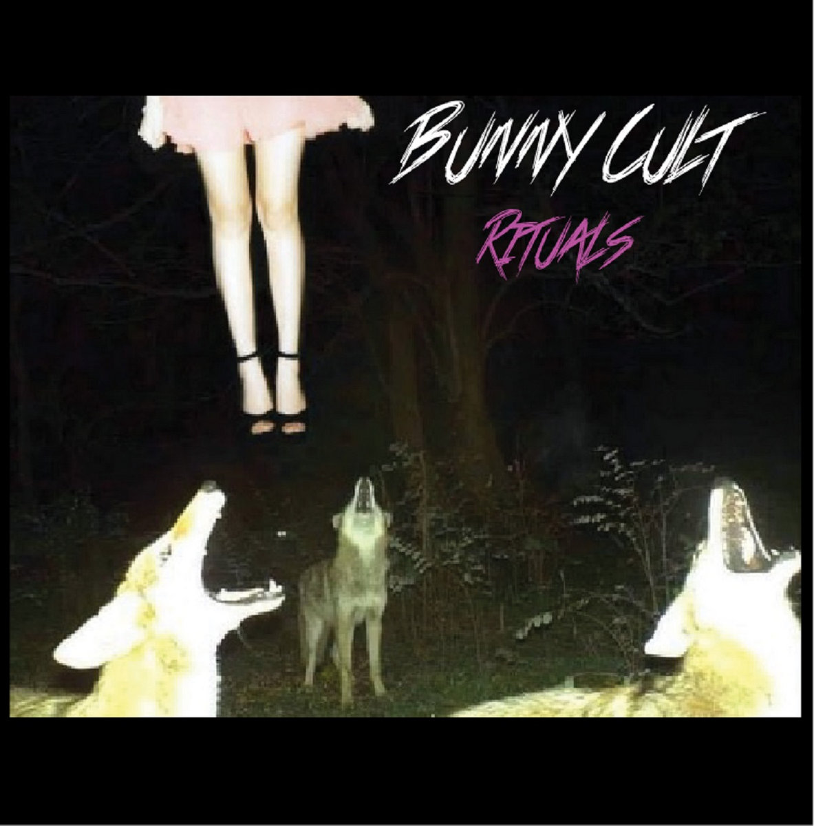 When People Disappear | Bunny Cult