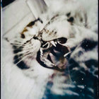 The Air Around Her | Ellen Fullman & Okkyung Lee | John Chantler / 1703 ...