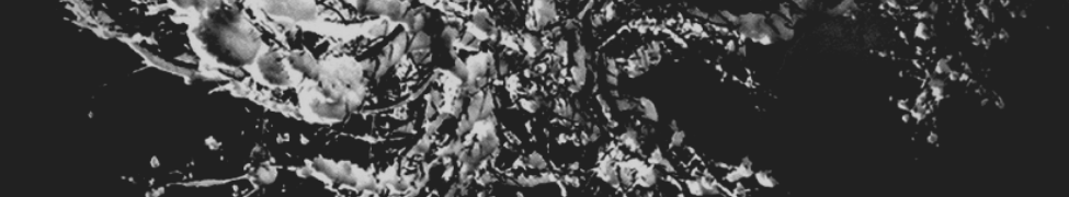 Javier Marimon - Fases (ST020) | Javier Marimon | Secuencias Temporales