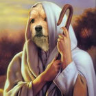 Invaders | Hollywood Burns