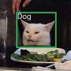 WLFGRL 10+ YEARS ANNIVERSARY EDITION | Machine Girl