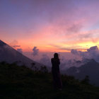 Targeted Individuals | Sansibar | FTP