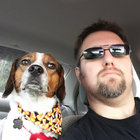 Music For Cats | cEvin Key