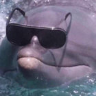 Dust | THRON | LISTENABLE RECORDS