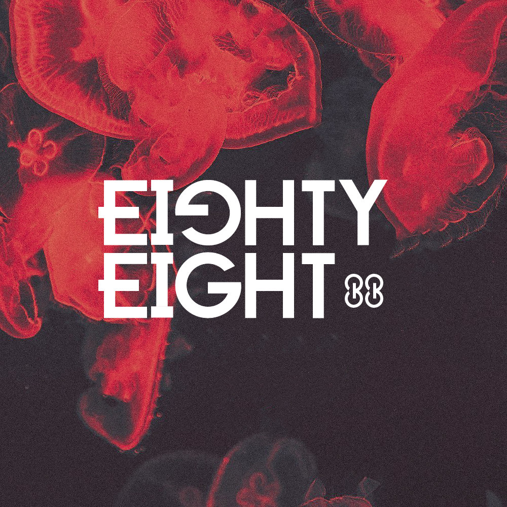 WHITE RABBIT | EIGHTY EIGHT