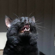 AndrewStarkey's collection | Bandcamp