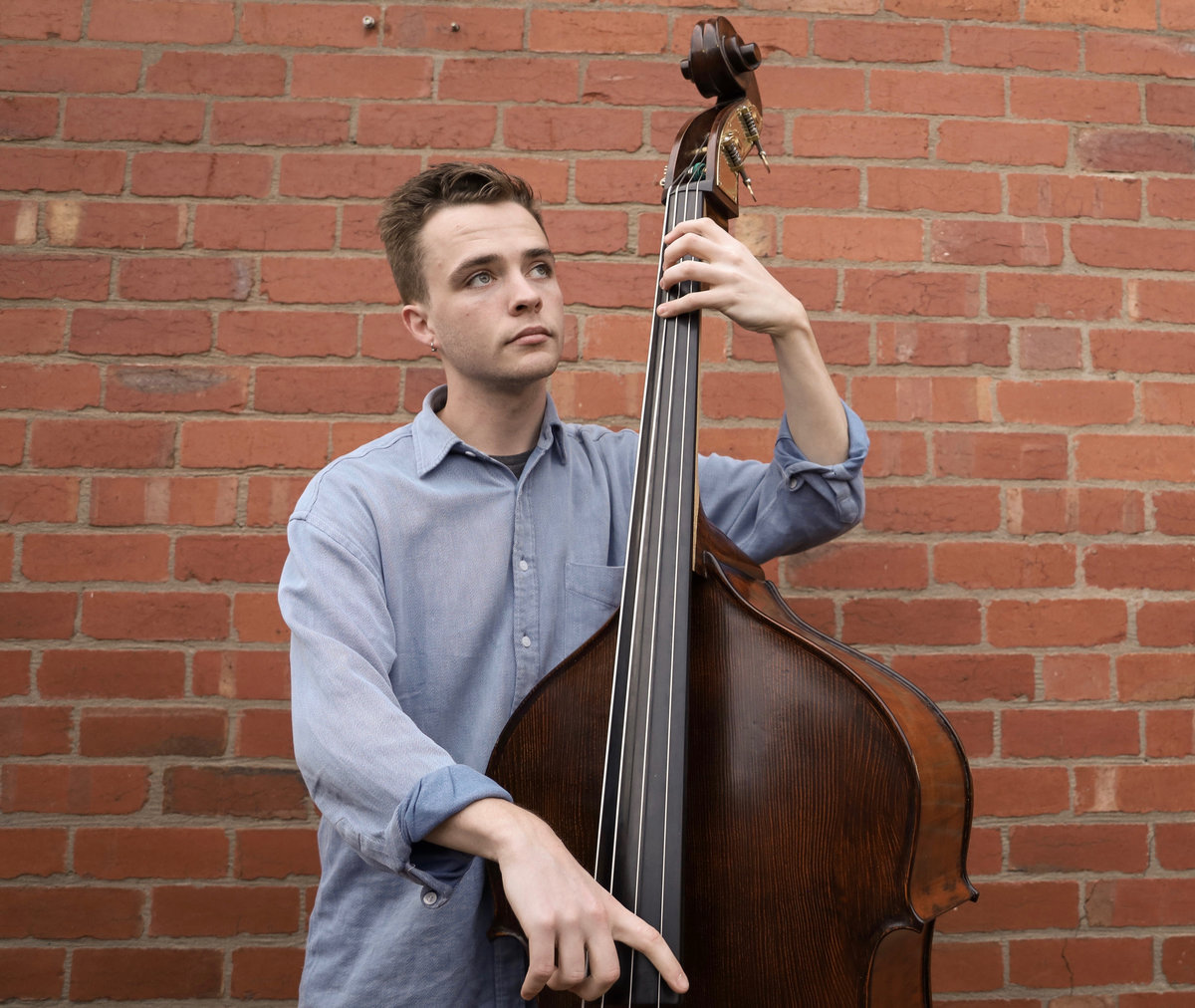 Cubism | Ross Anderson