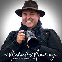 mcklusky's collection | Bandcamp