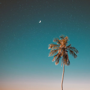 Music | Netuno Beats