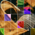 Dream Mixes I - Ultimate Edition (Remastered 2018) | Jerome Froese ...