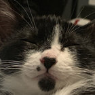 Census Designated | Jane Remover