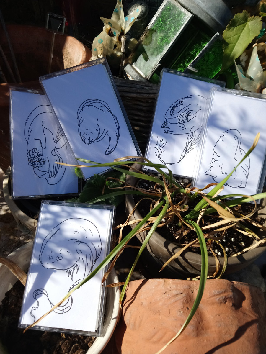 Small worm tape | Luxury Mollusc | Small Worm