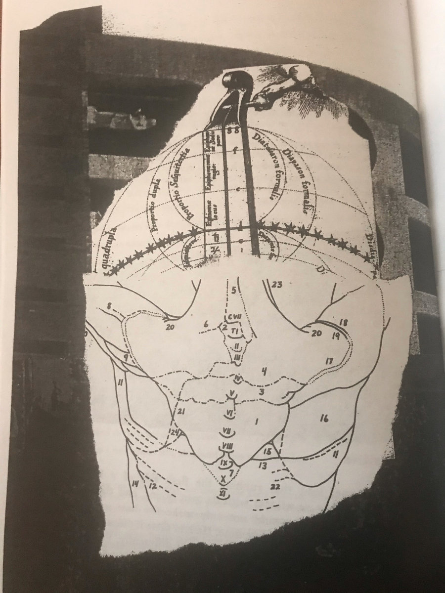 Decomposer (Issue One) | Jacob Sunderlin