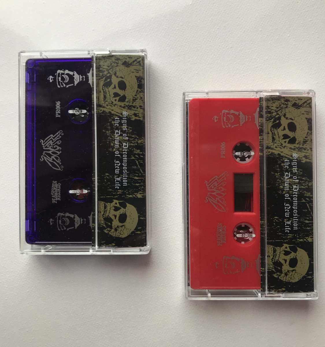 Signs of Decomposition - The Dawn of New Life | Odockh