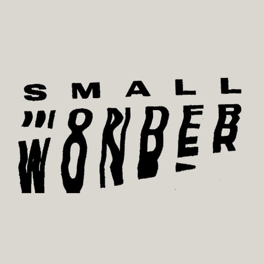 Small Wonder Logo