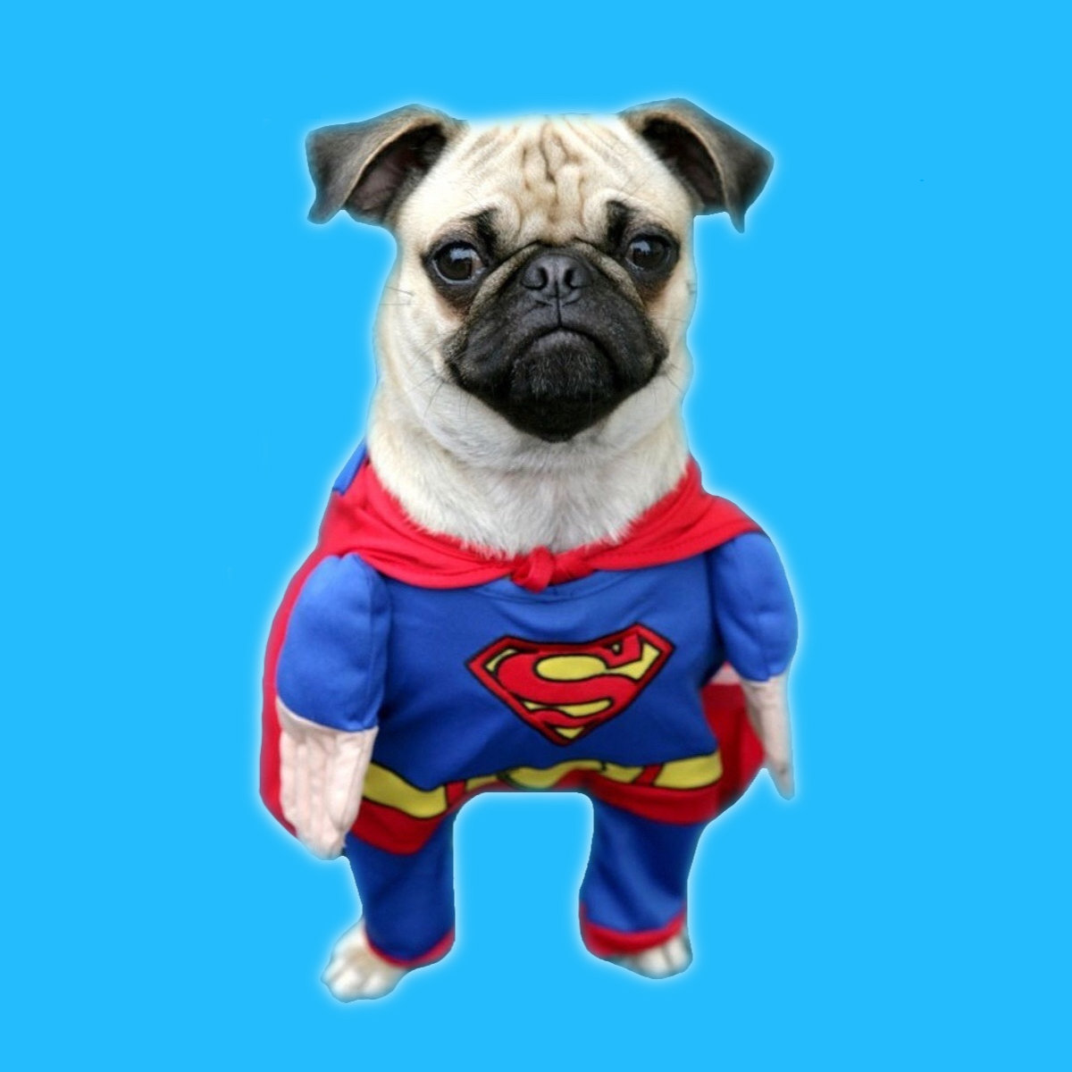 Soul Consoling Tower | Super Puppy
