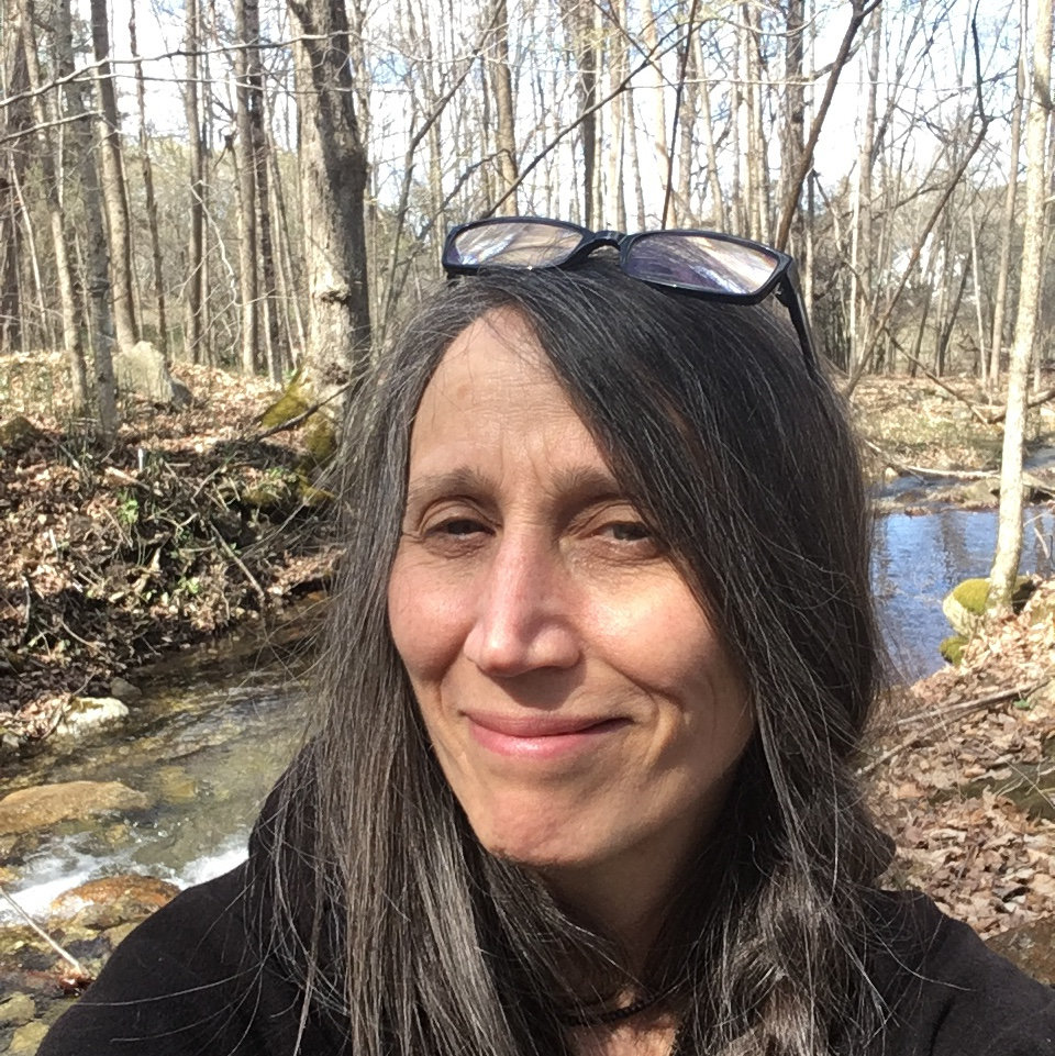 debbie-holmes' collection | Bandcamp