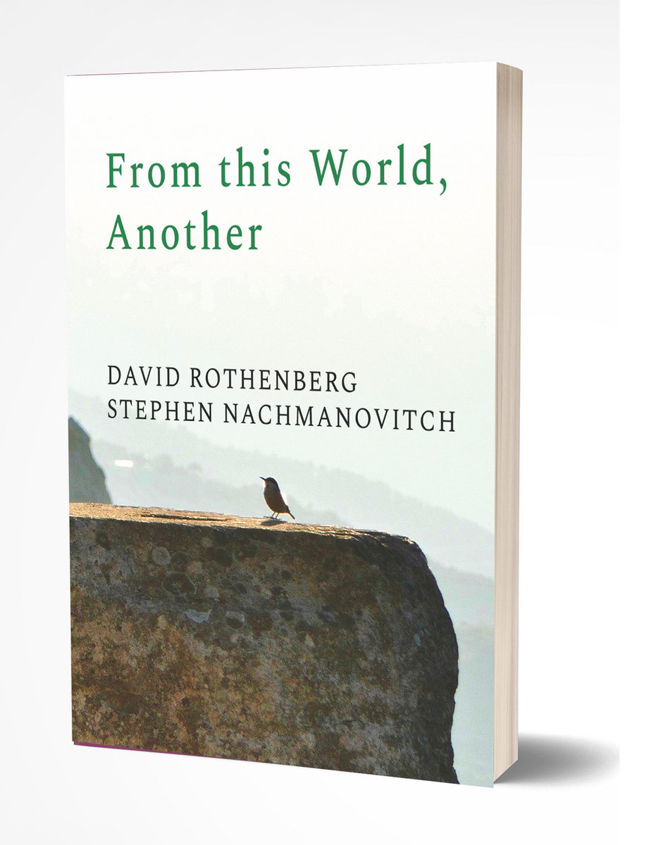From This World, Another – book and music | David Rothenberg & Stephen ...
